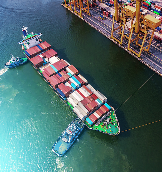 ECU LINE DOHA WWL - Freight Forwarding Company Profile, Contact ...